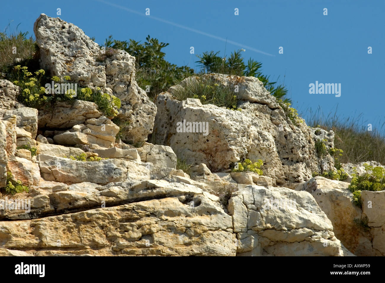 Istria croatia croazia hr europe hi-res stock photography and images ...