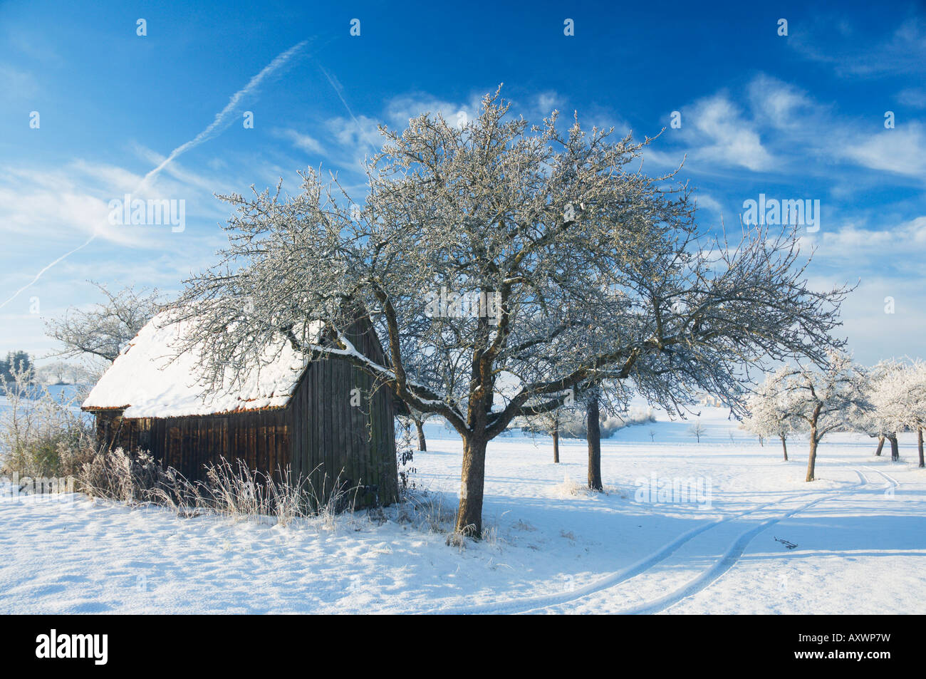 Orchard barn hi-res stock photography and images - Alamy