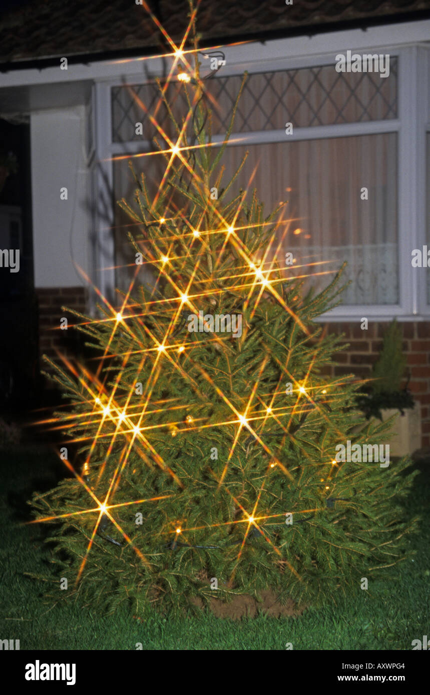 Christmas tree with fairy lights alight in front garden England Stock ...