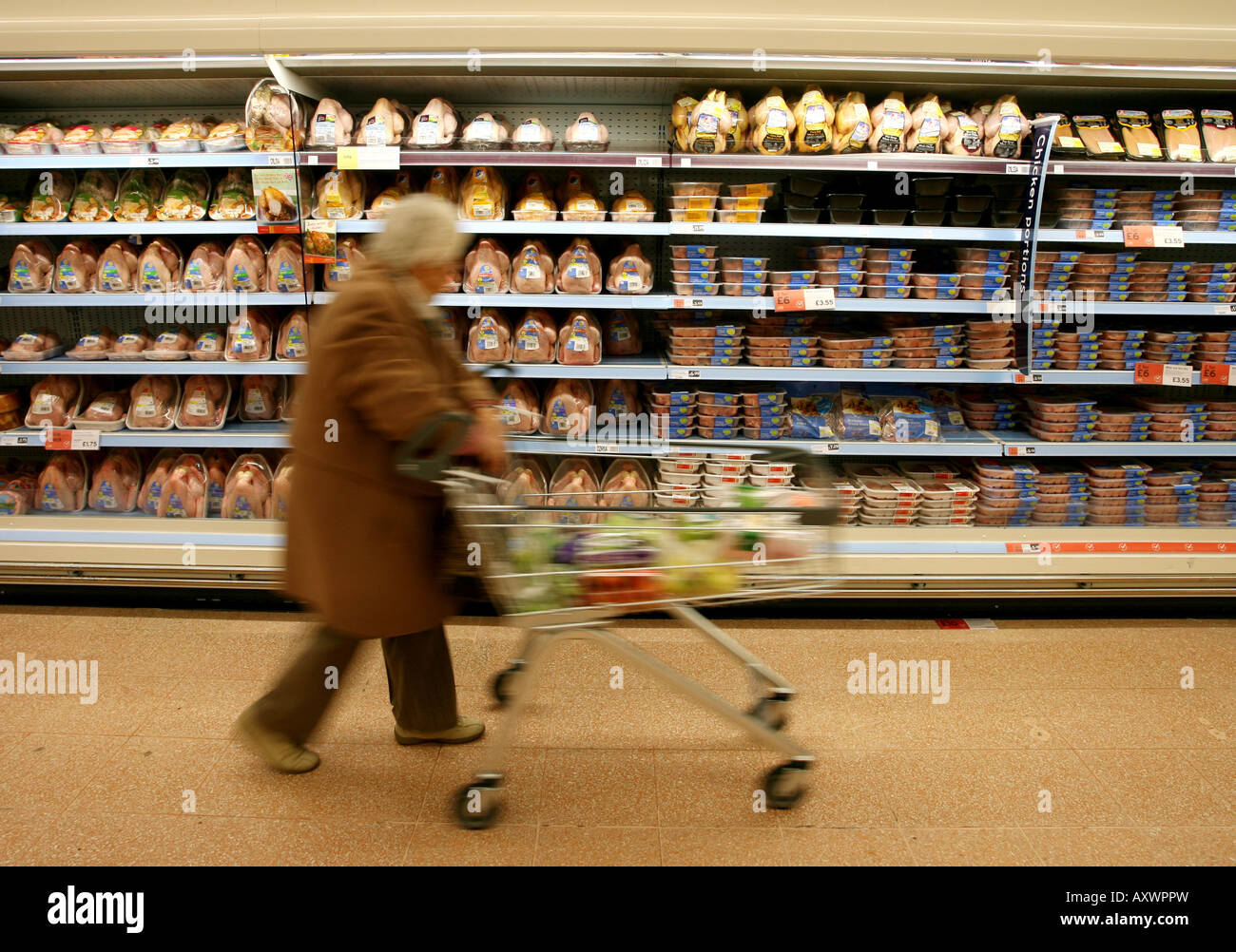 An old lady browses the poultry section at Sainsburys supermarket at ...