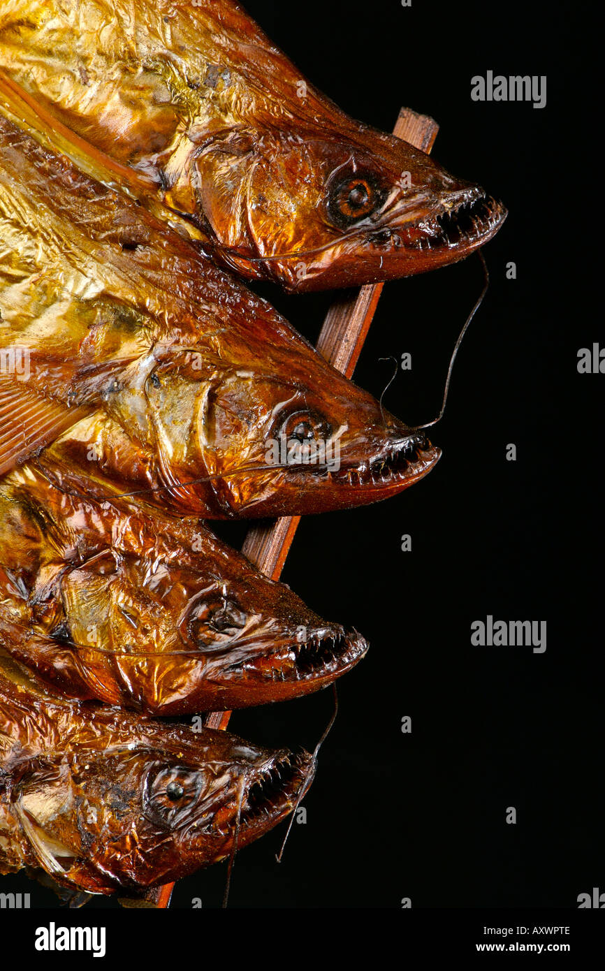Dried Fish Stick High Resolution Stock Photography and Images - Alamy