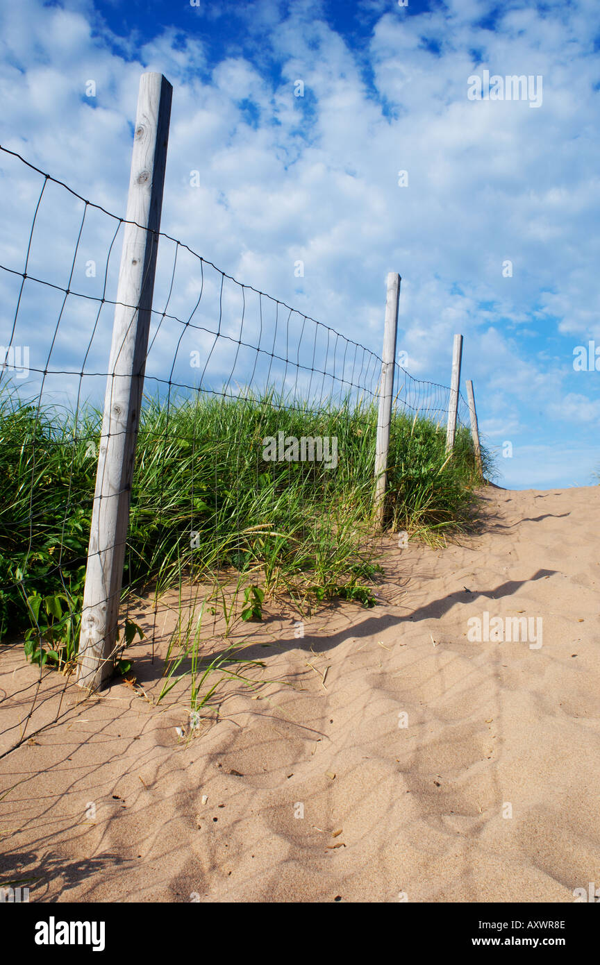 Sand path on a beach over a sand dune with wire fence on both sides ...