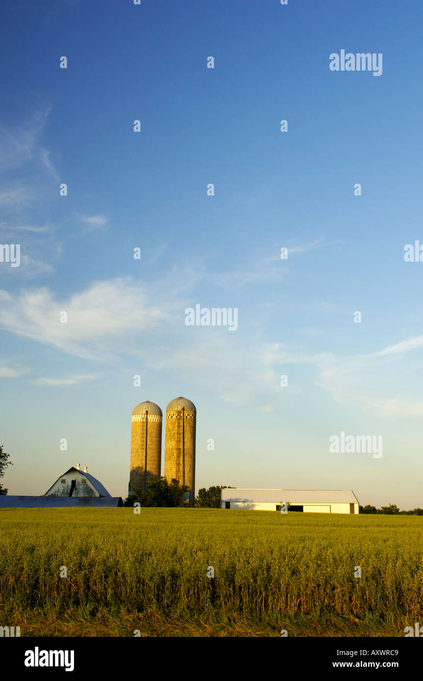 Bean field minnesota hi-res stock photography and images - Alamy
