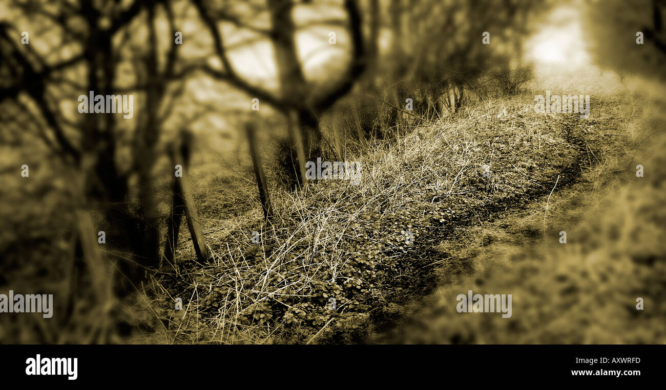 winding country path Stock Photo - Alamy