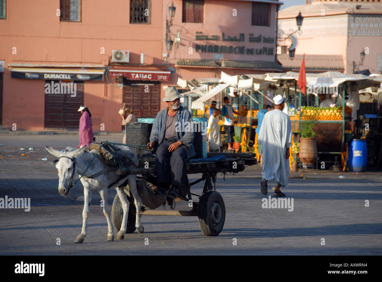 Donkeys pulling carts filled with fruit and other items are a very ...