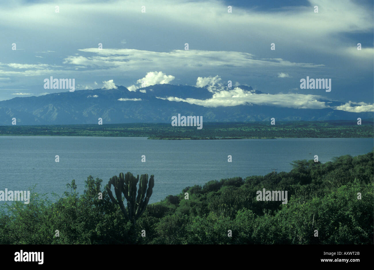 Lake Edward and the Ruwenzori Mountains seen from Kabatoro Road Queen ...