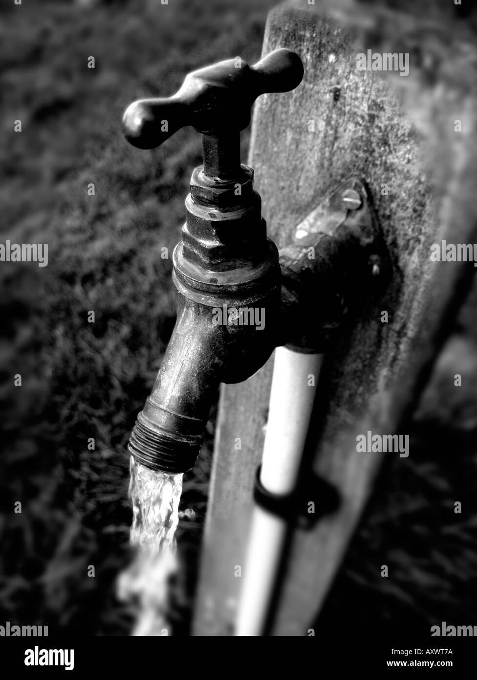 tap gushing water Stock Photo - Alamy