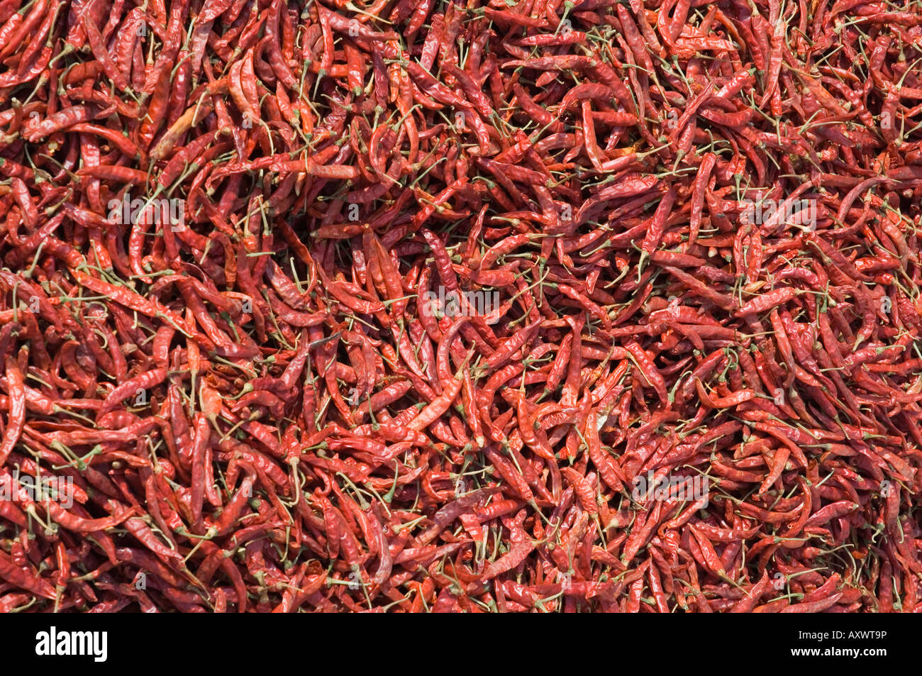 Chilli peppers india hi-res stock photography and images - Alamy