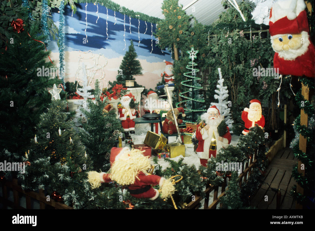 Christmas wonderland scene Stock Photo - Alamy