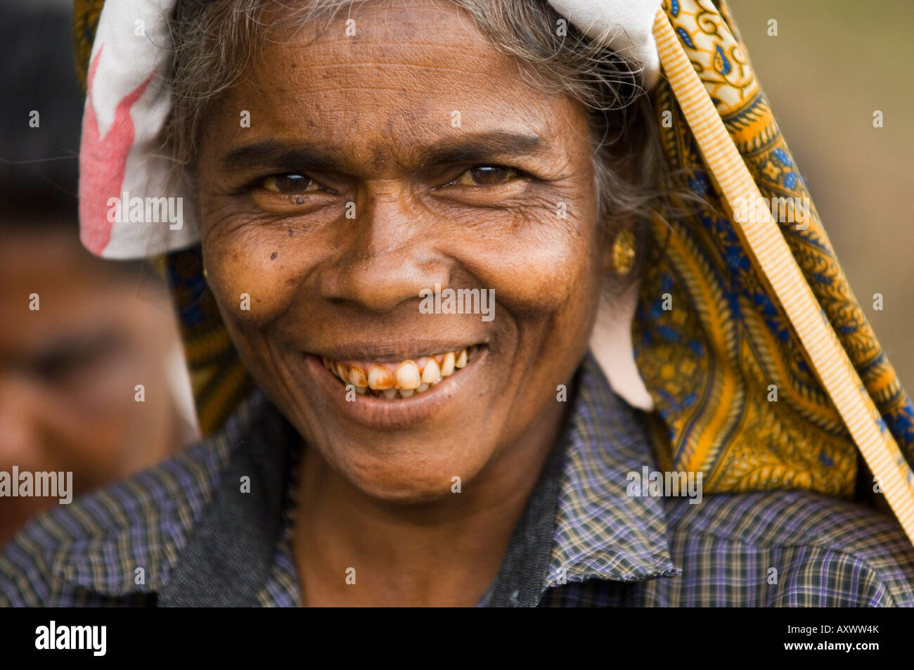 Female tea plantation worker hi-res stock photography and images - Alamy