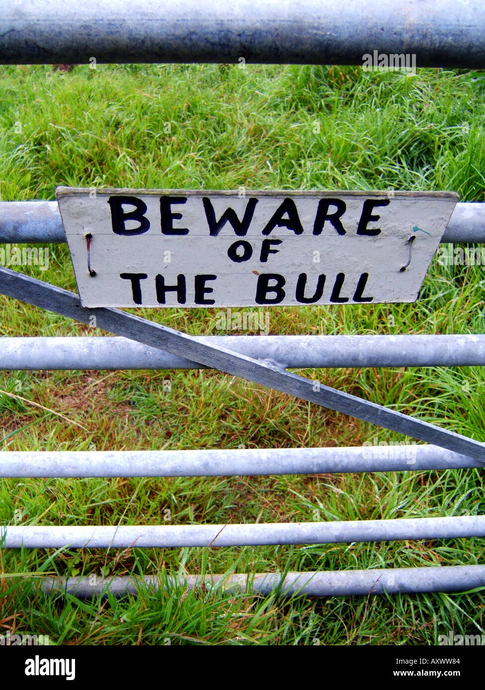 beware of bull sign Stock Photo - Alamy