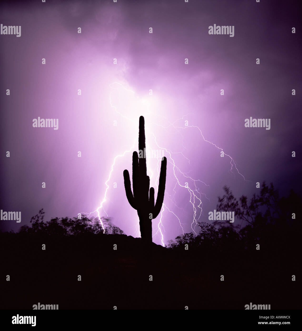 Tucson lightning hi-res stock photography and images - Alamy