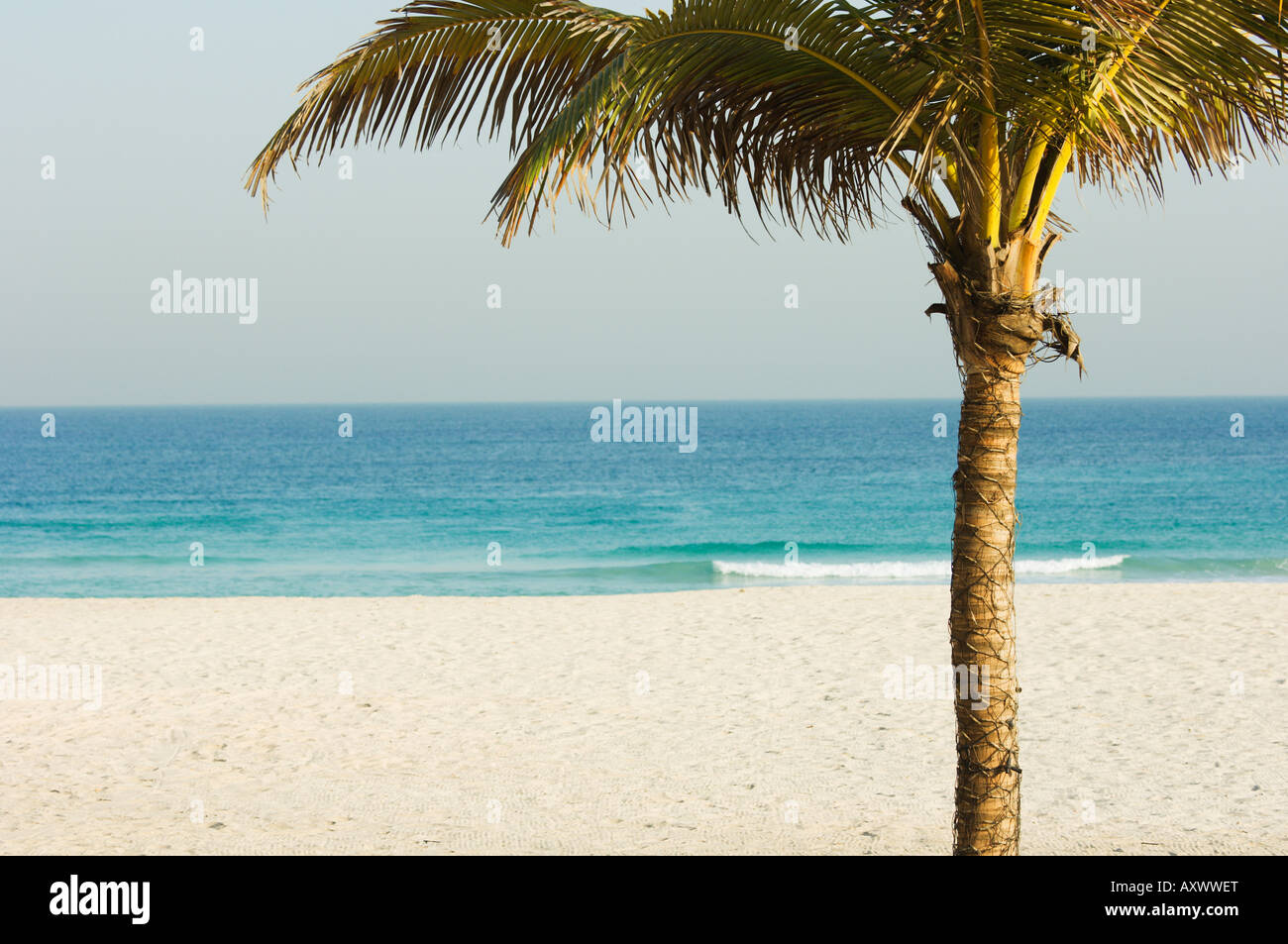 Jumeirah Beach, Dubai, United Arab Emirates, Middle East Stock Photo ...