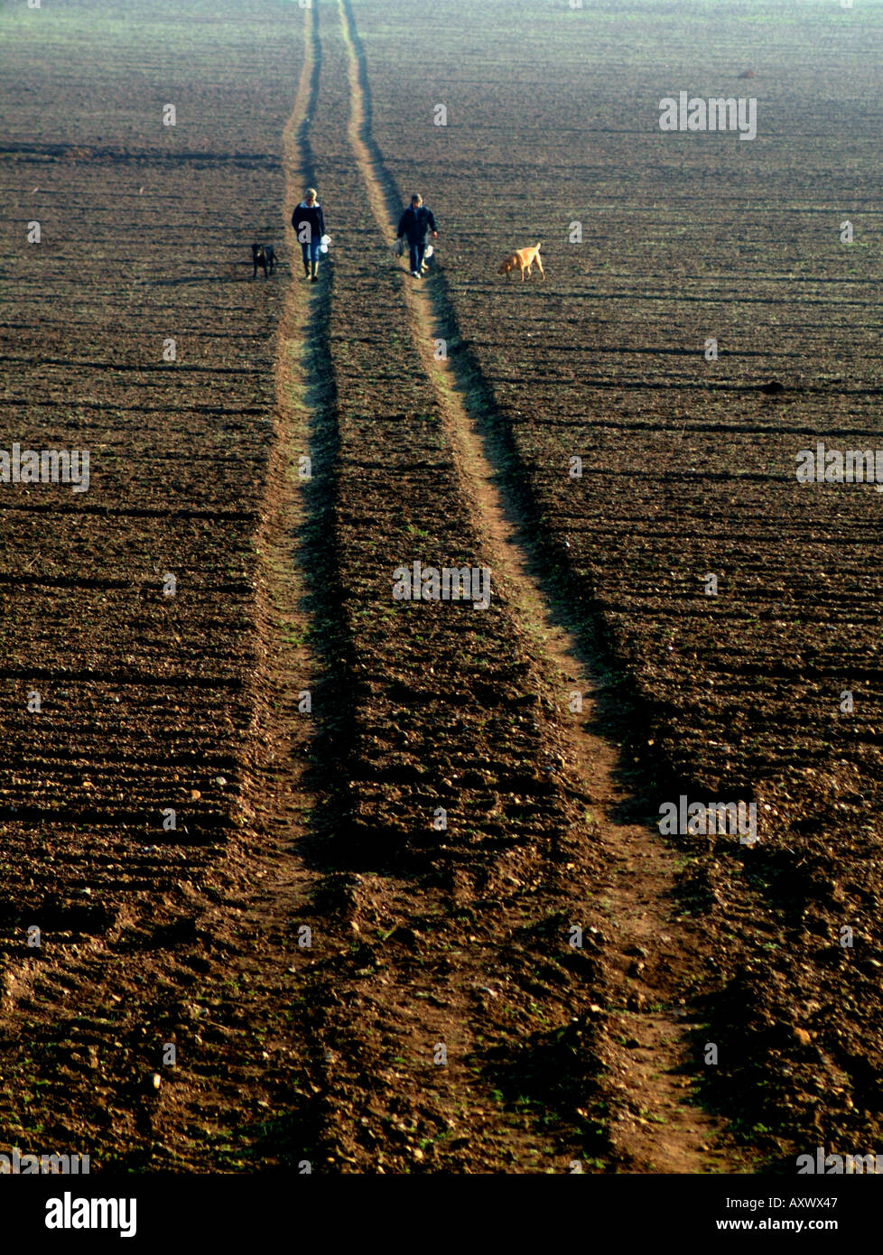 two people walking together on path across field Stock Photo - Alamy