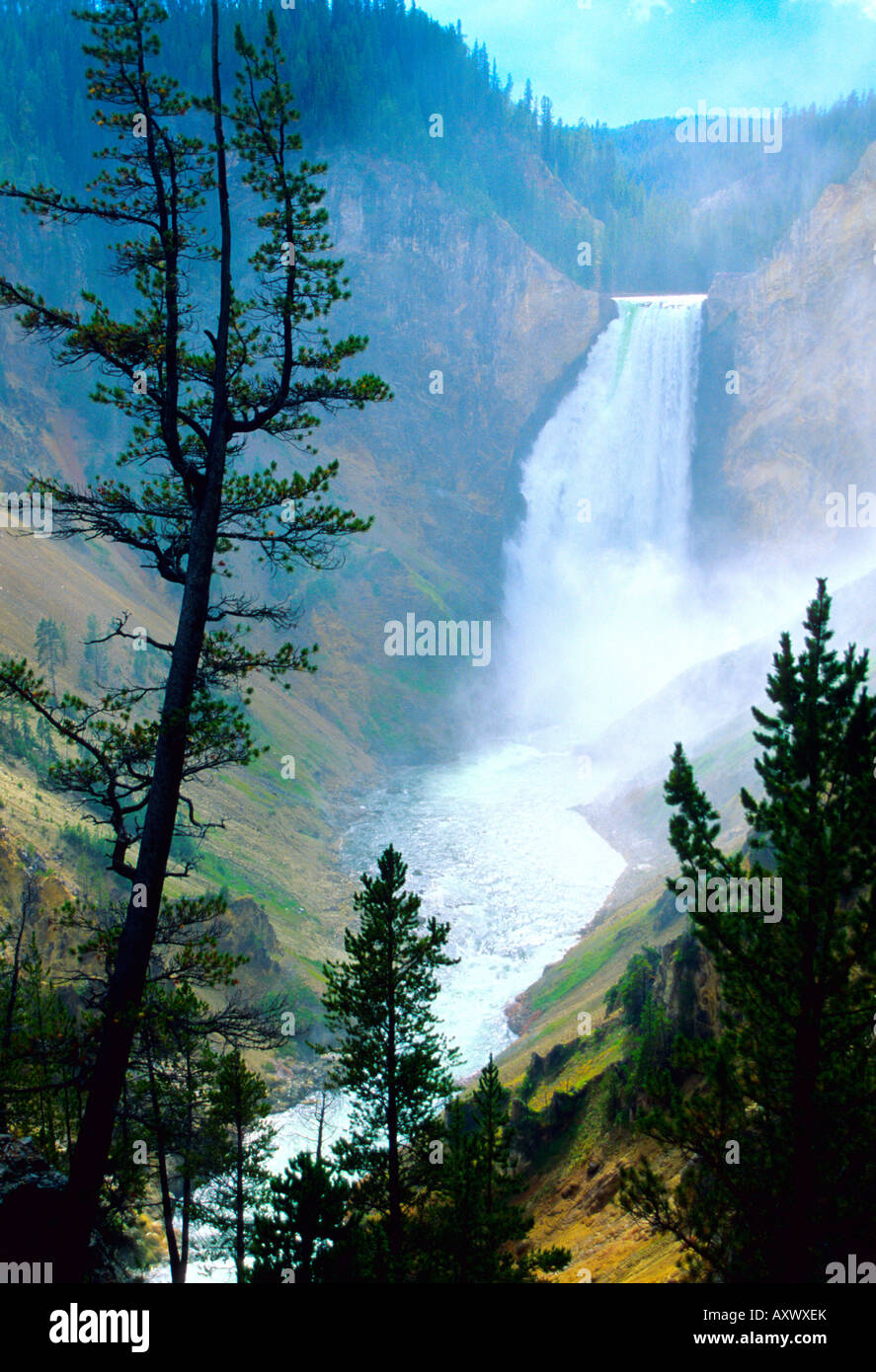 Yellowstone River Lower Waterfall View, Yellow stone national park ...
