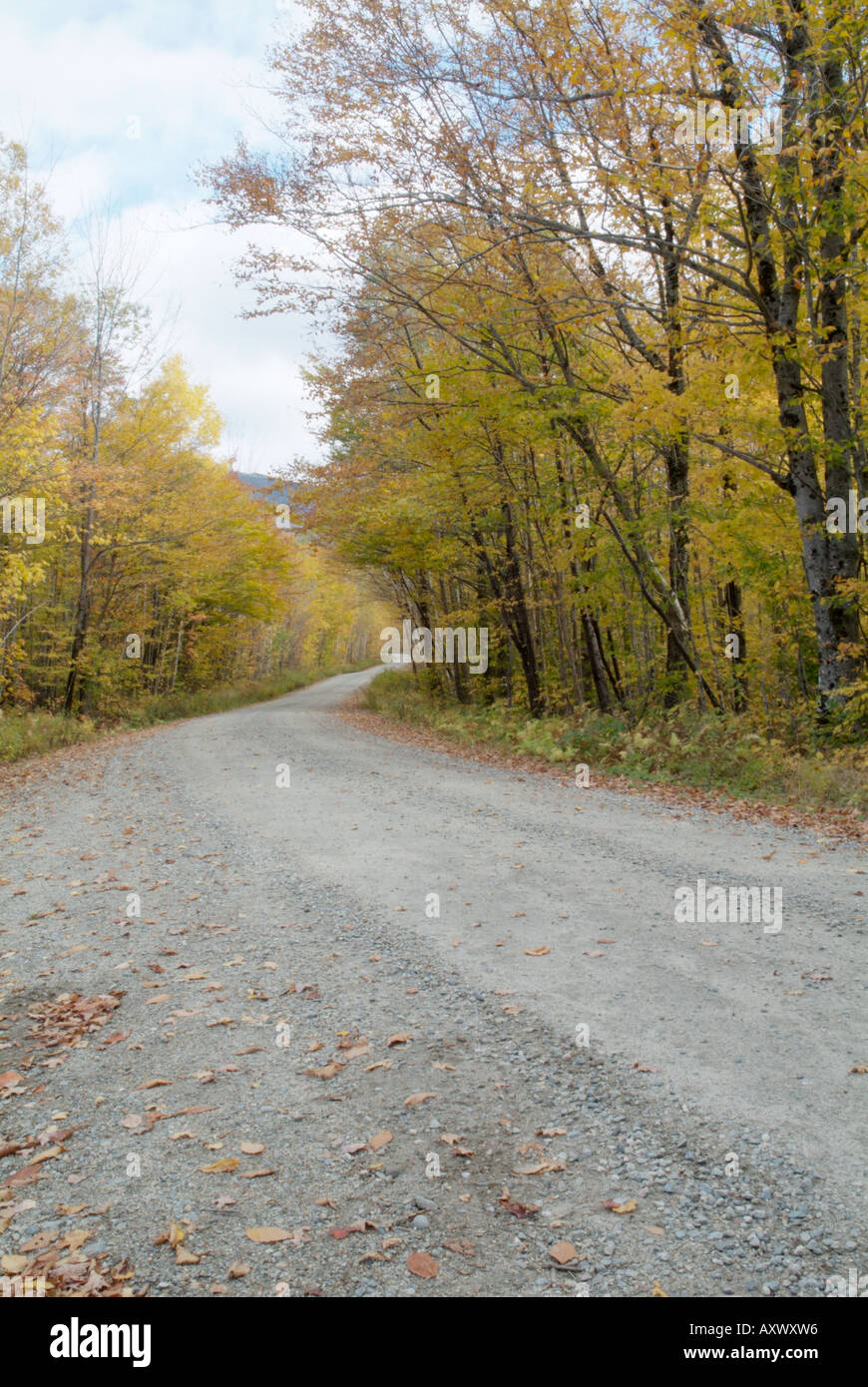 Autumn foliage along Gale River Loop Road in Bethlehem, New Hampshire ...