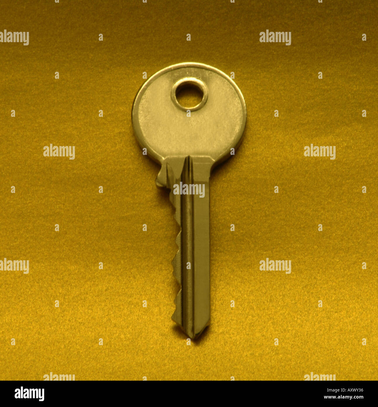 A gold key Vertical Stock Photo - Alamy