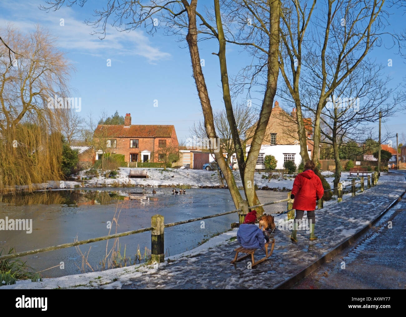 A Winter Scene, Somerleyton Pond, Somerleyton Village, Suffolk, Englang ...
