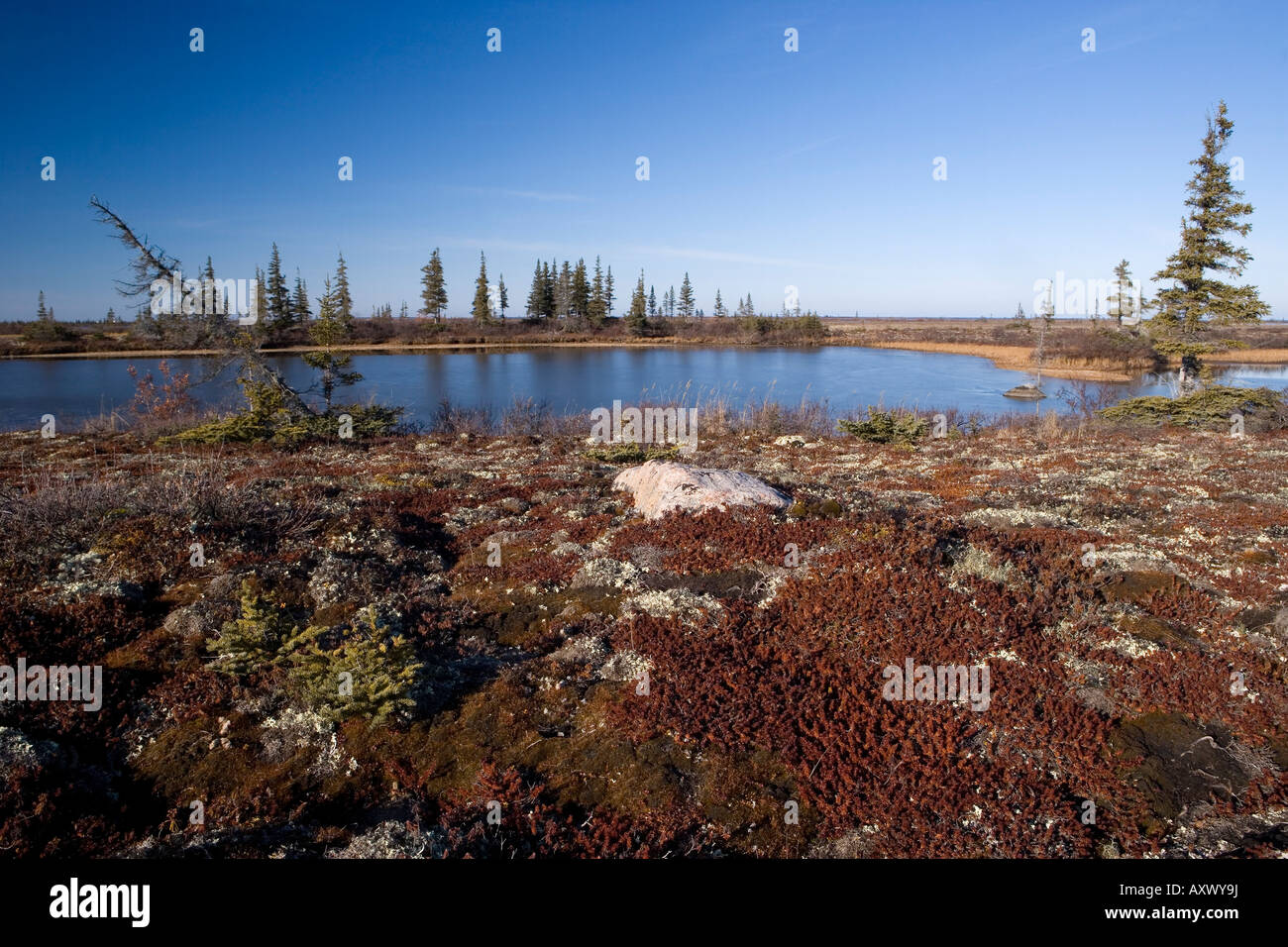 Landscape at Hudson Bay, Churchill, Manitoba, Canada, North America ...