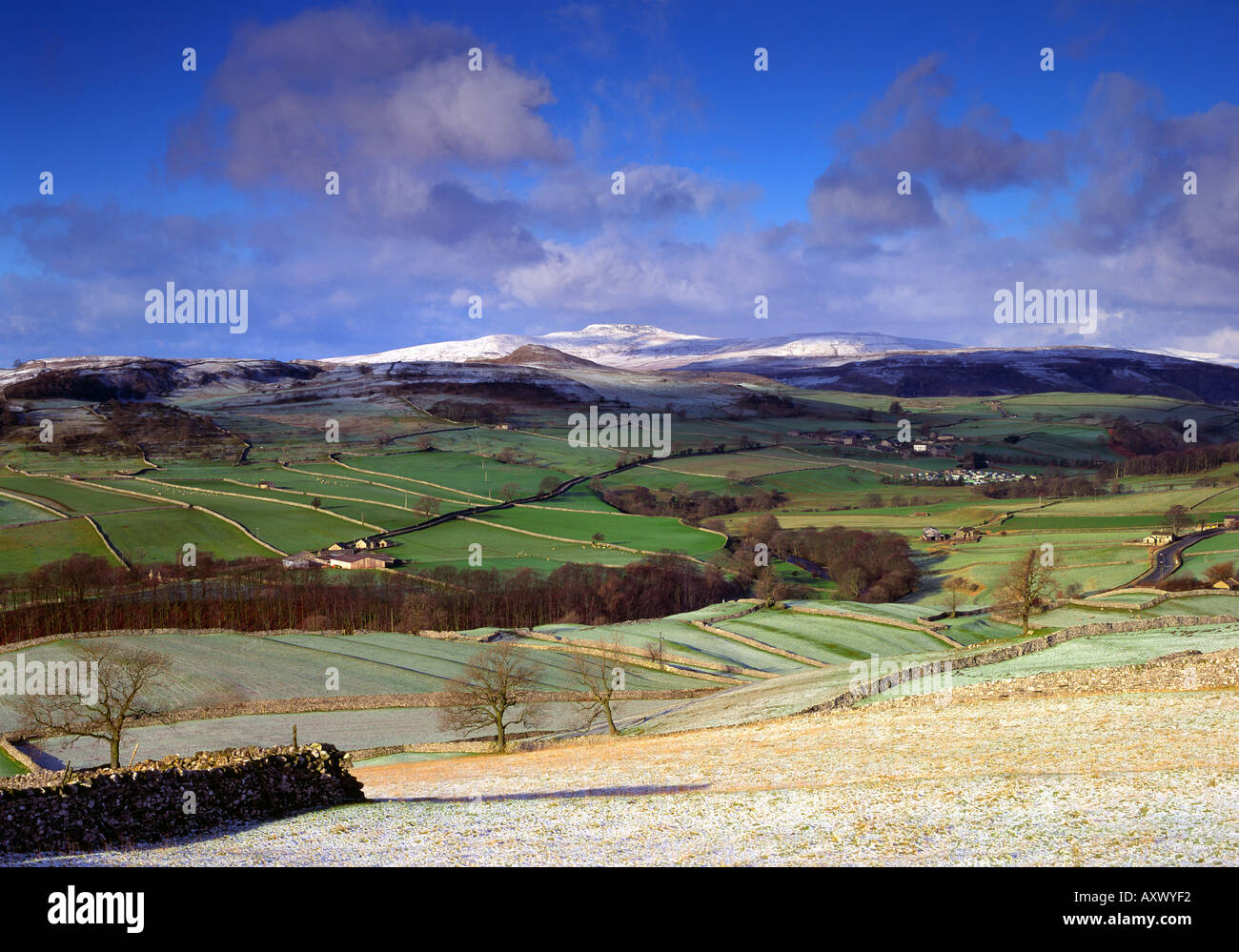 The Ribble valley in the Yorkshire Dales Stock Photo - Alamy