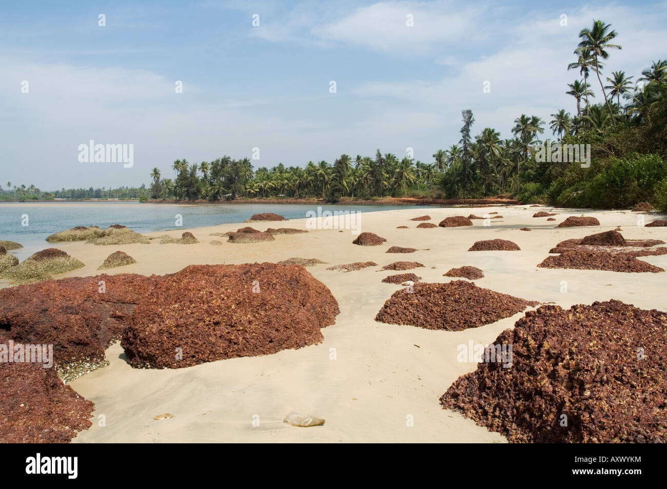Beach near Goa in Maharastra, India Stock Photo - Alamy
