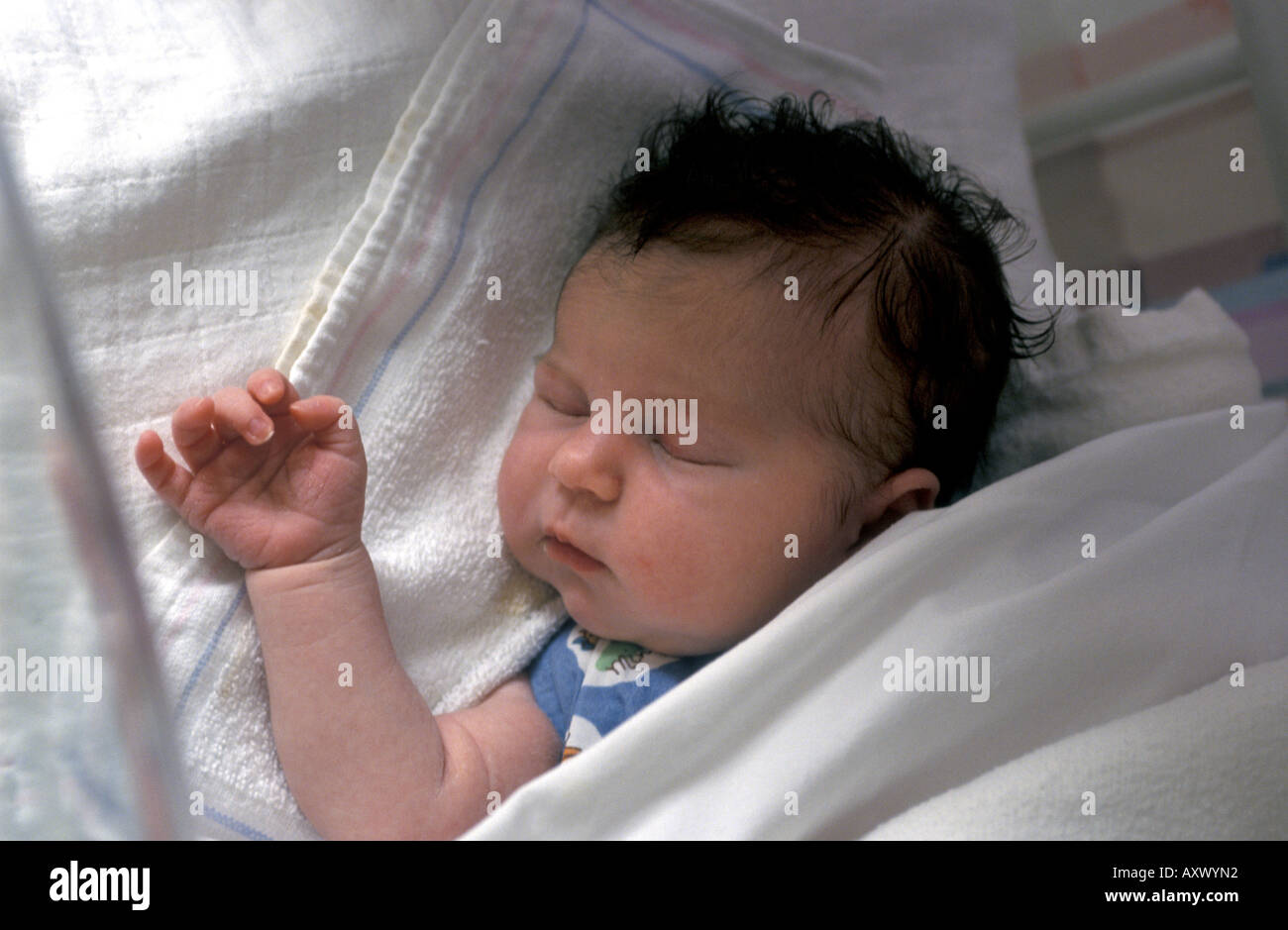 Newborn baby in cradle Stock Photo - Alamy