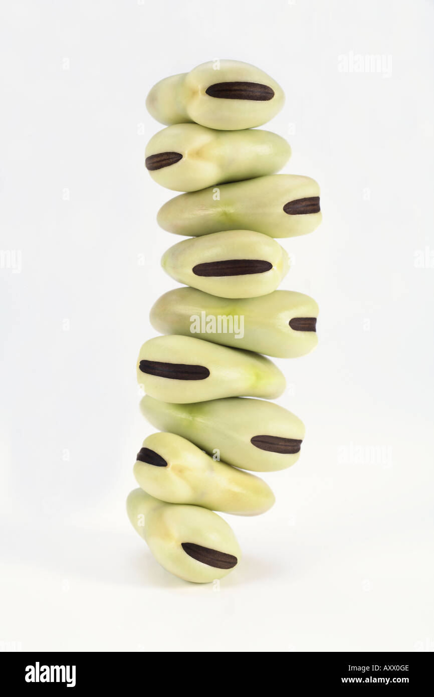 Horsebeans hi-res stock photography and images - Alamy