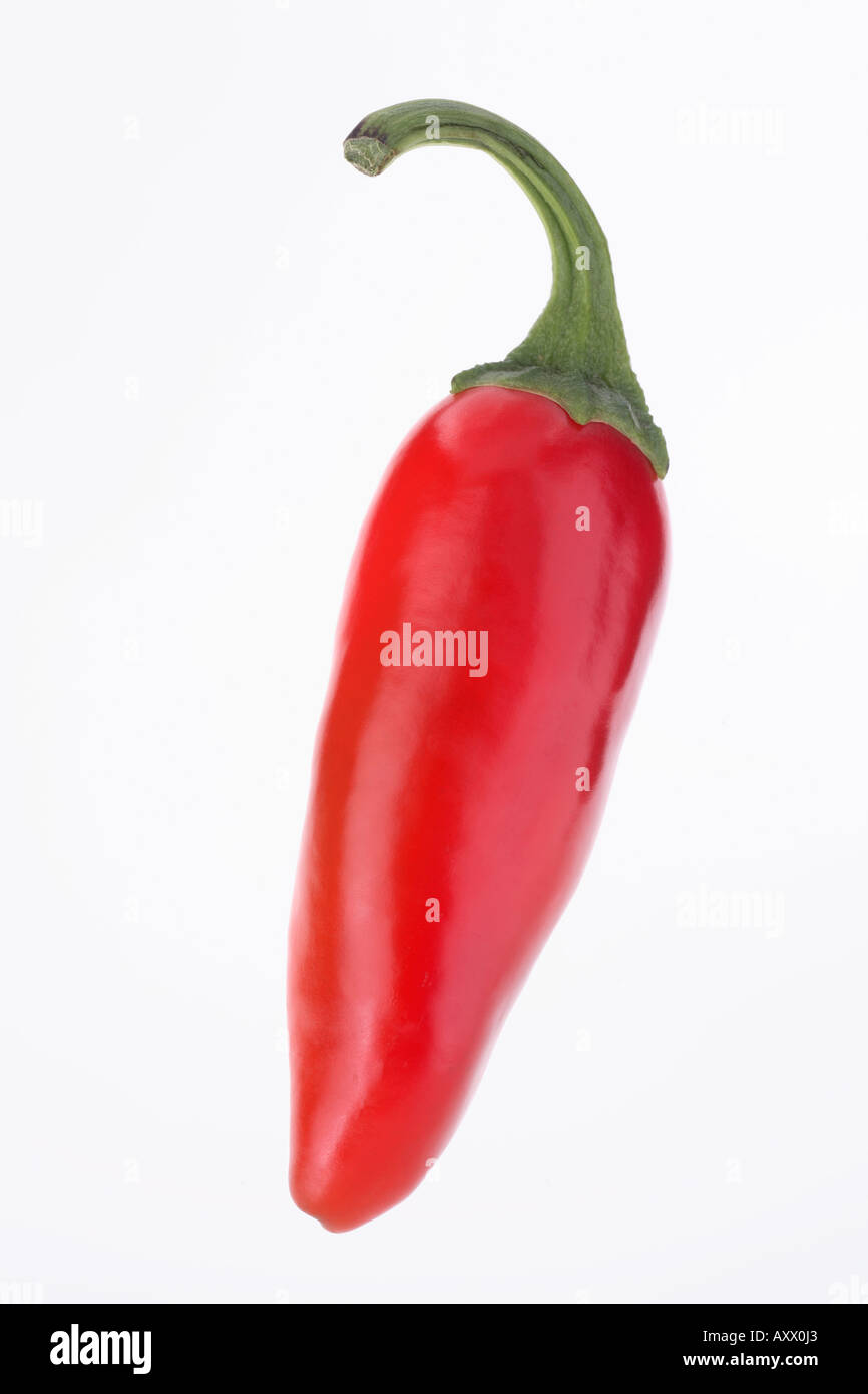 Red jalapeno pepper Stock Photo - Alamy