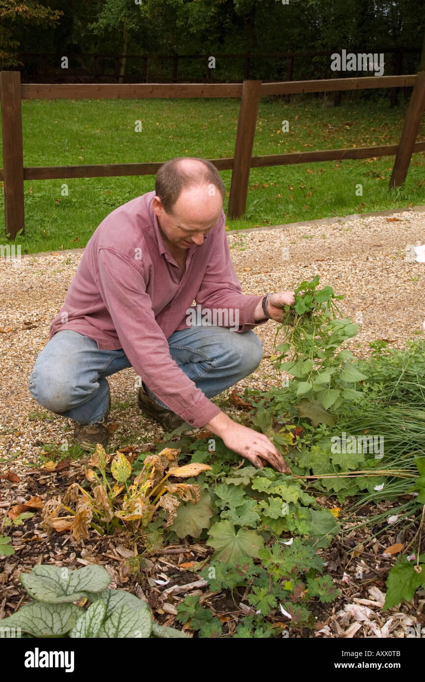 Pulling weeds hi-res stock photography and images - Alamy