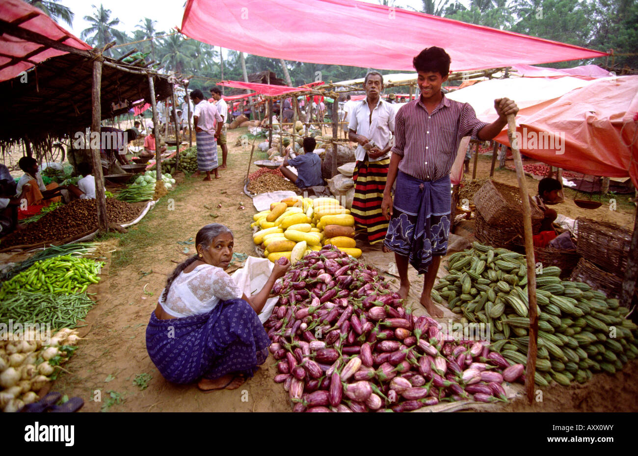 Sri Lanka Hikkaduwa early morning market vegetable stalls Stock Photo ...