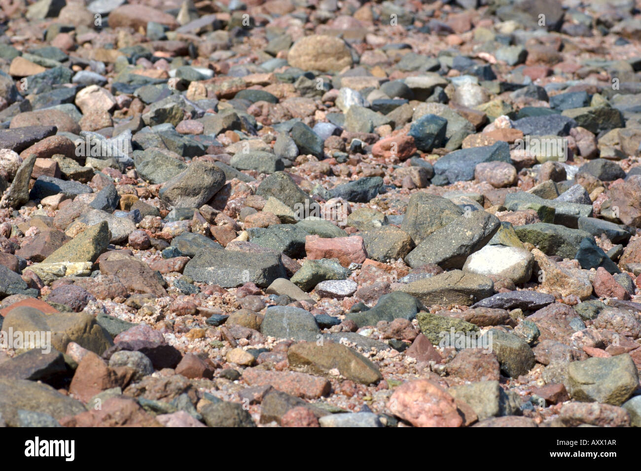 Wild beach with lots of different colored stones background Stock Photo ...
