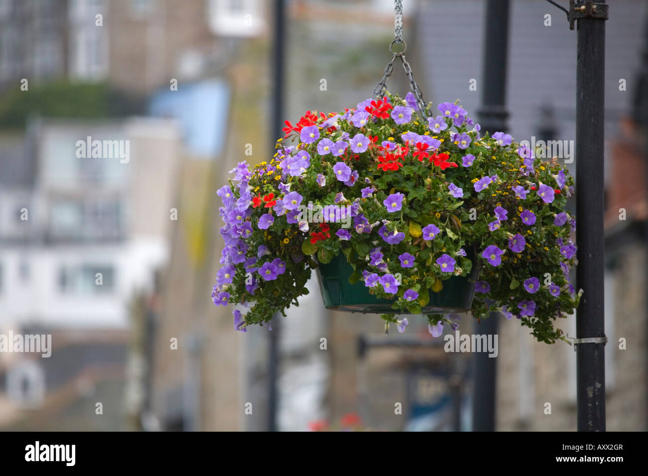 Western hanging basket hi-res stock photography and images - Alamy