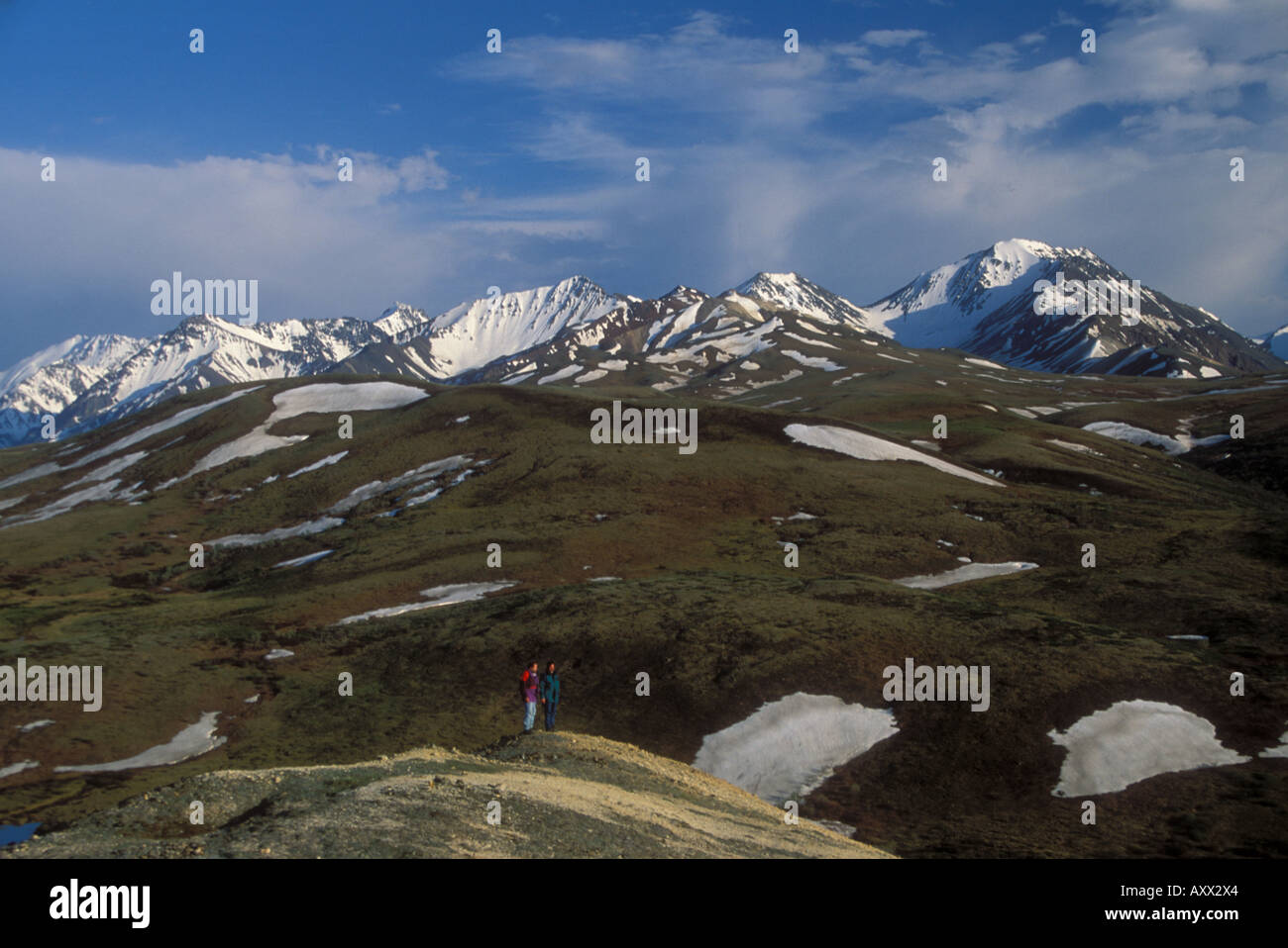 Hiker at Cathedral Mountain Alaska Range Denali national park Alaska ...
