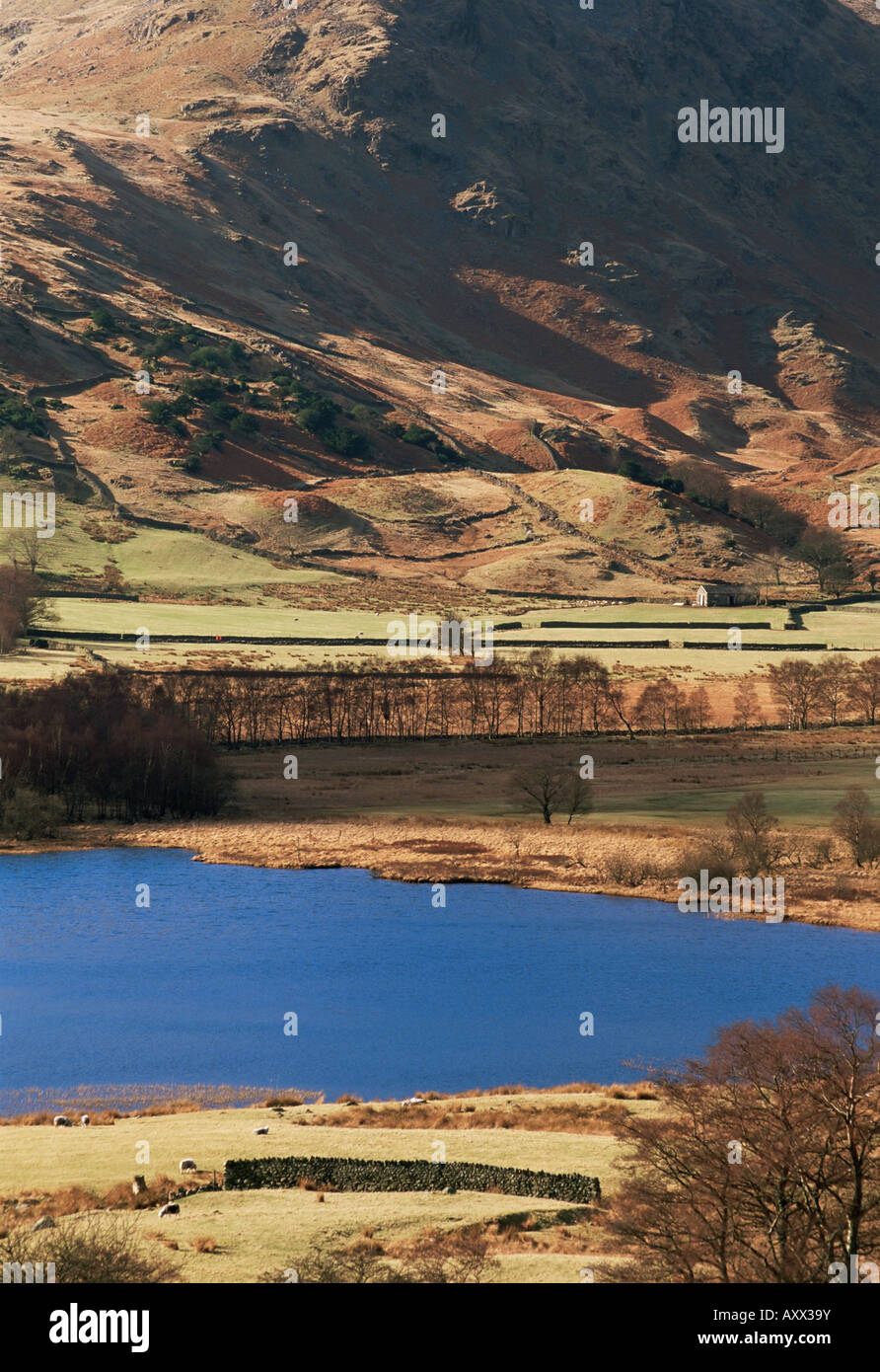 Little britain lake hi-res stock photography and images - Alamy