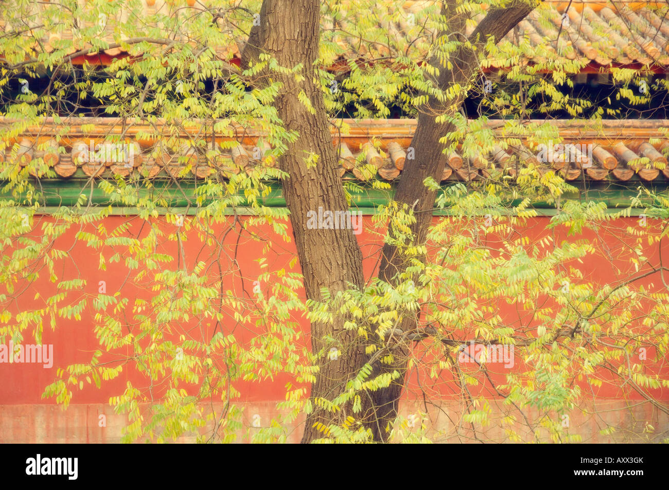 Tree and historic building, Yiheyuan (Summer Palace), Beijing, China ...