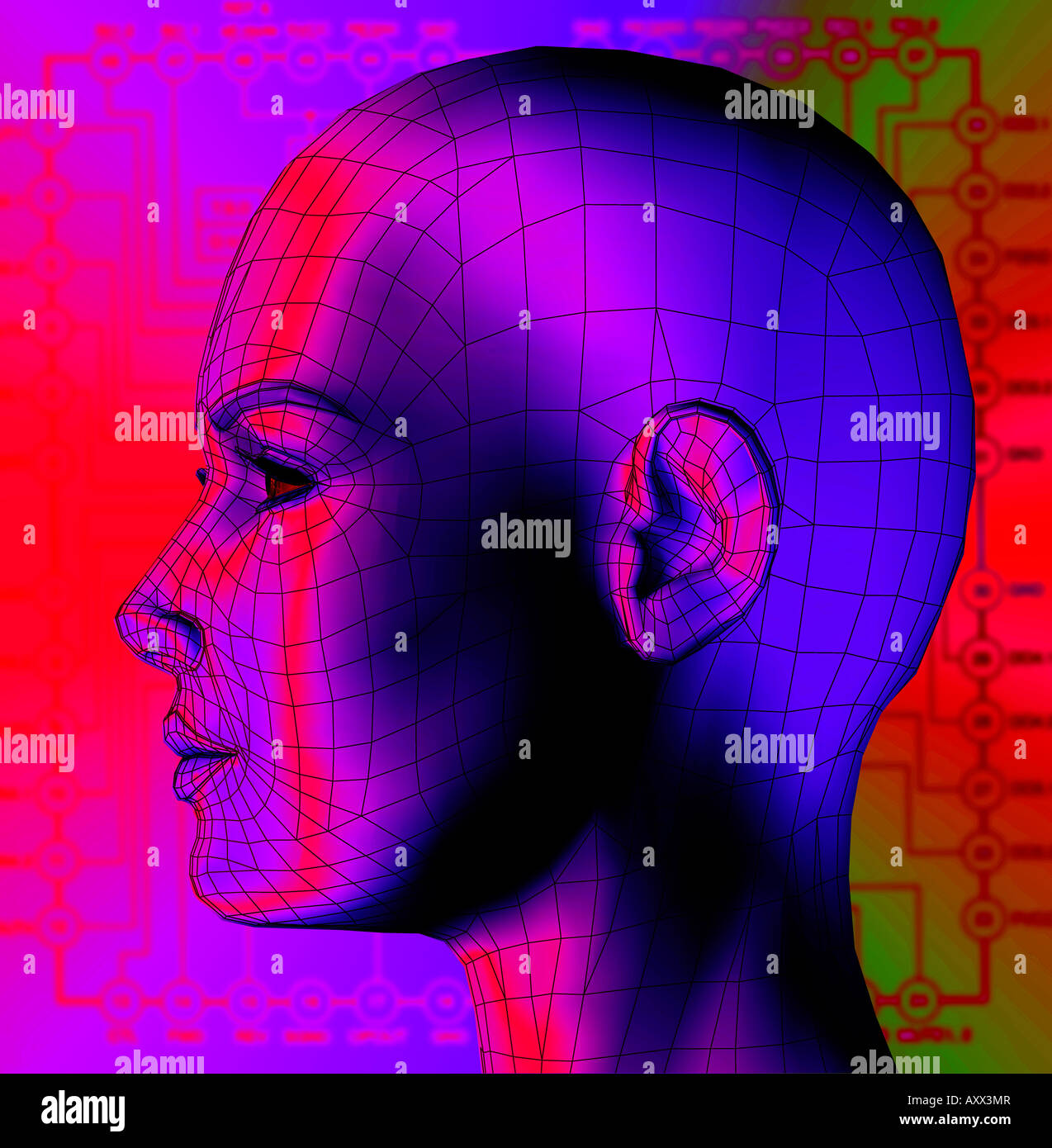 futuristic computer generated female robot head Stock Photo - Alamy