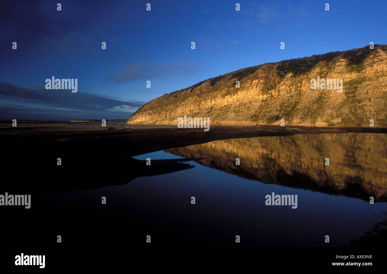 Colville river fossil hi-res stock photography and images - Alamy