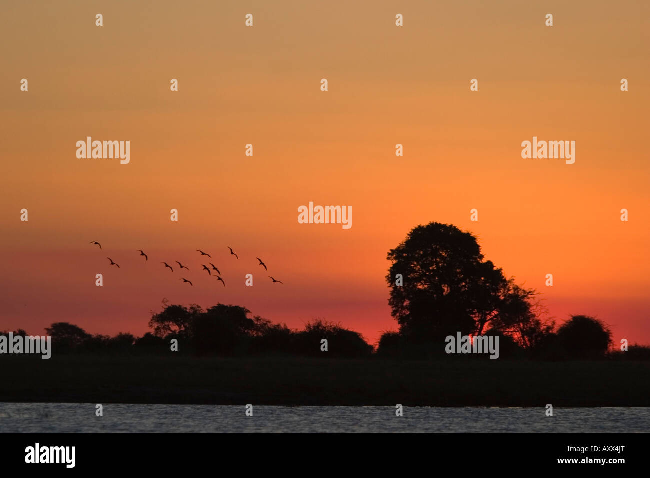 Sunset over Chobe River, Chobe National Park, Botswana, Africa Stock ...