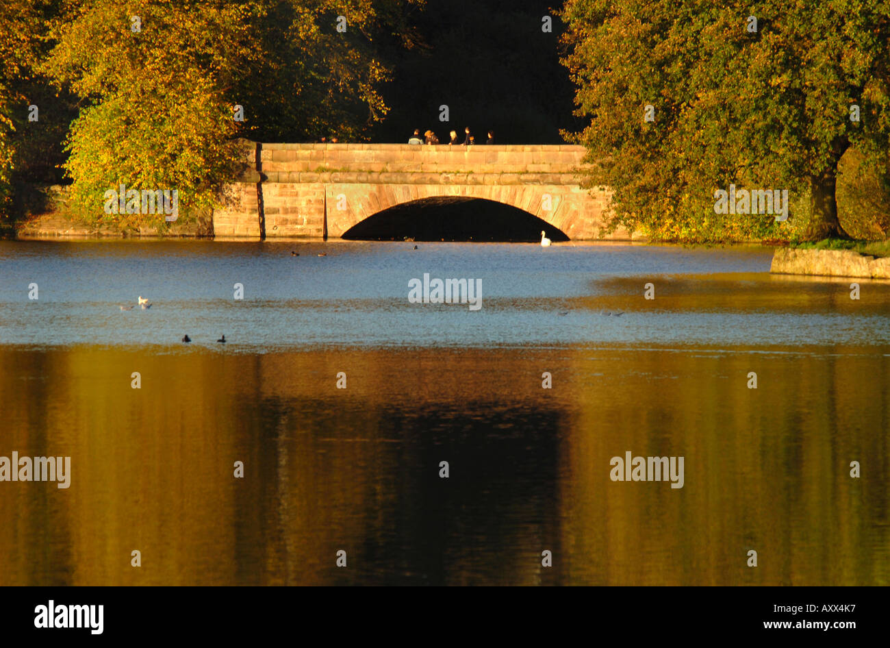 Countryside Lake & Bridge Stock Photo - Alamy
