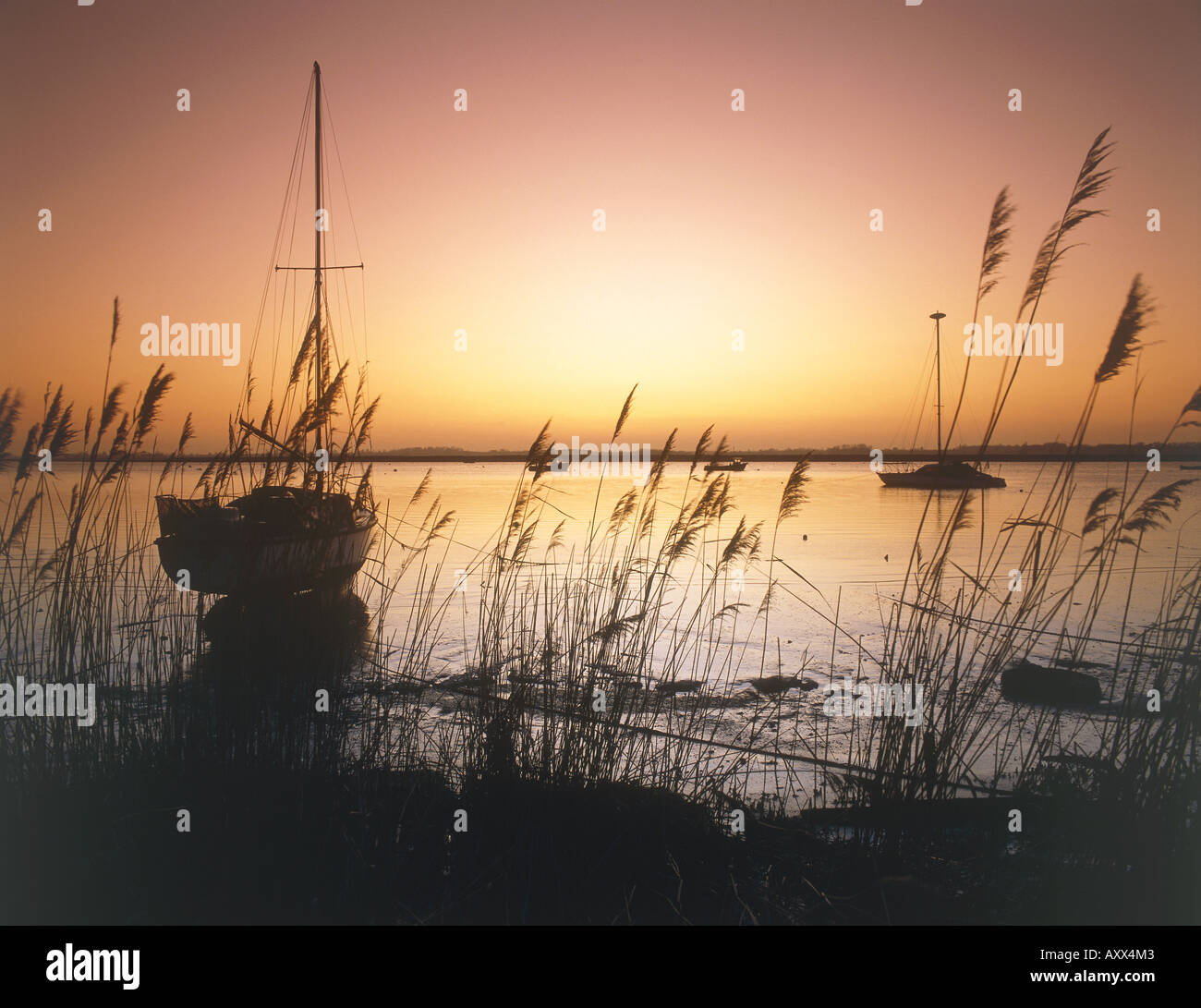 Suffolk countryside moody hi-res stock photography and images - Alamy