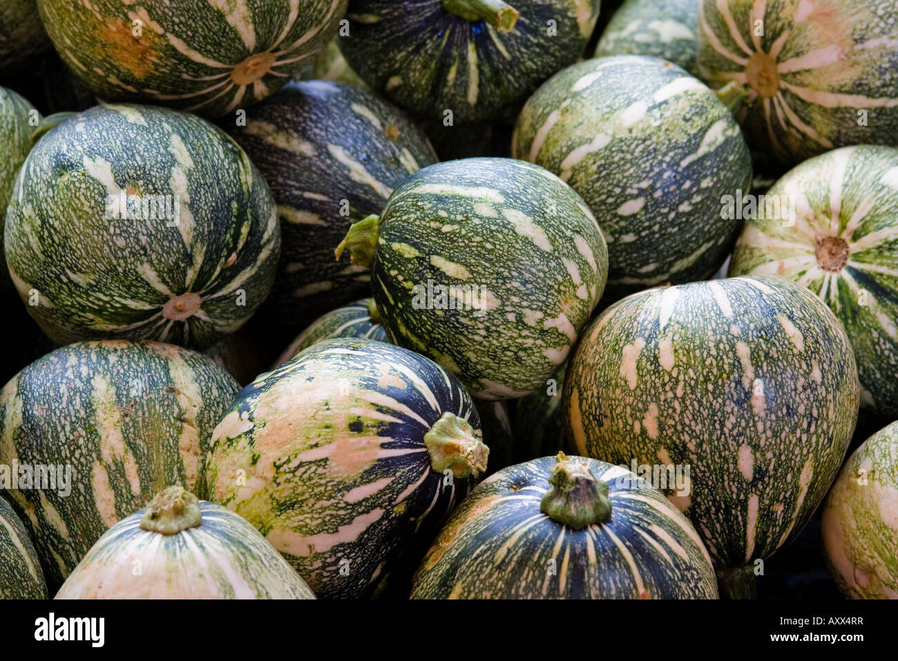 Round marrows hi-res stock photography and images - Alamy