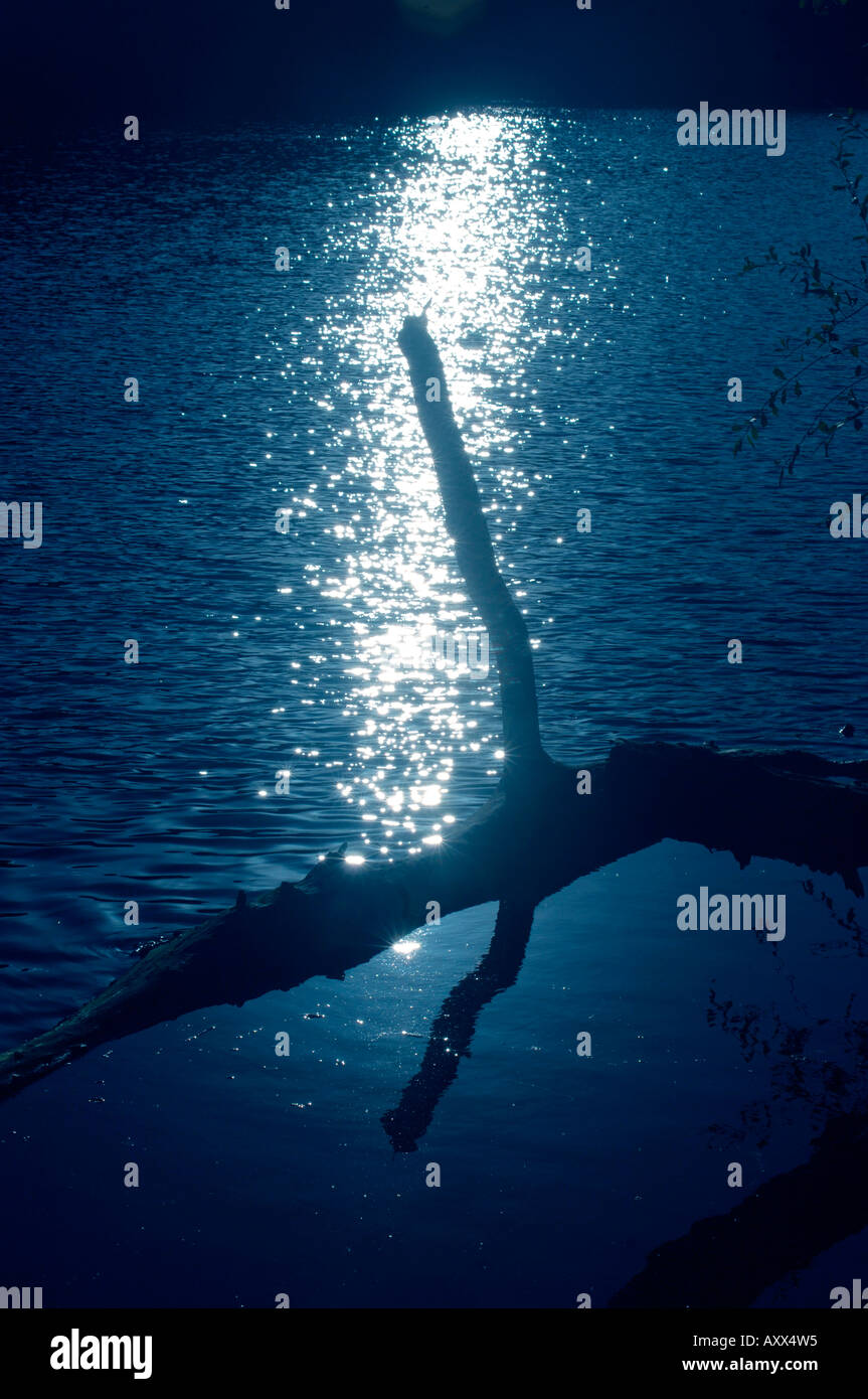 Moonlight ripples hi-res stock photography and images - Alamy