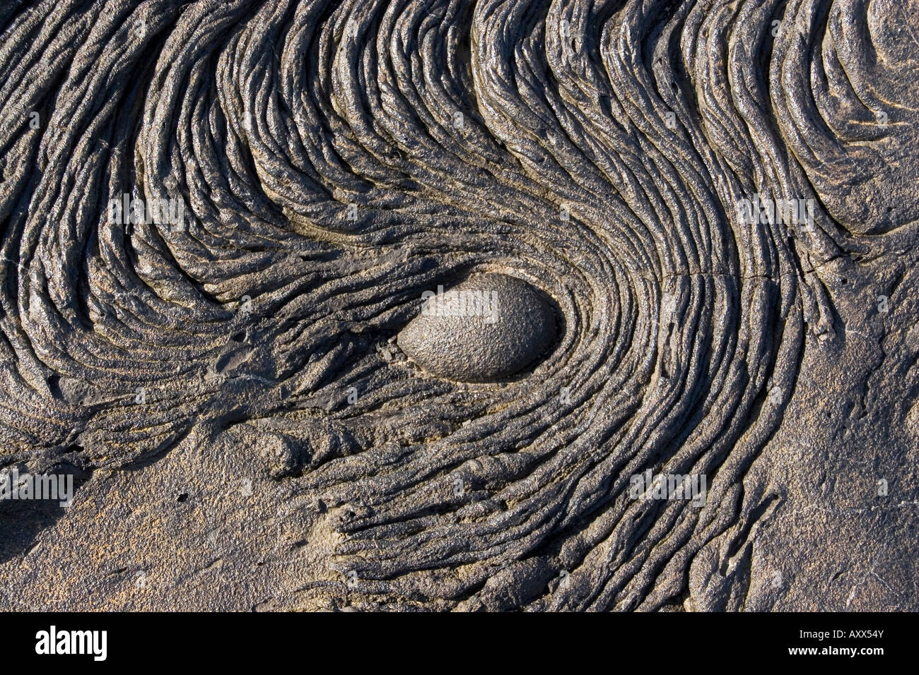 pahoehoe lava is the result of magma containing very little gas Stock ...