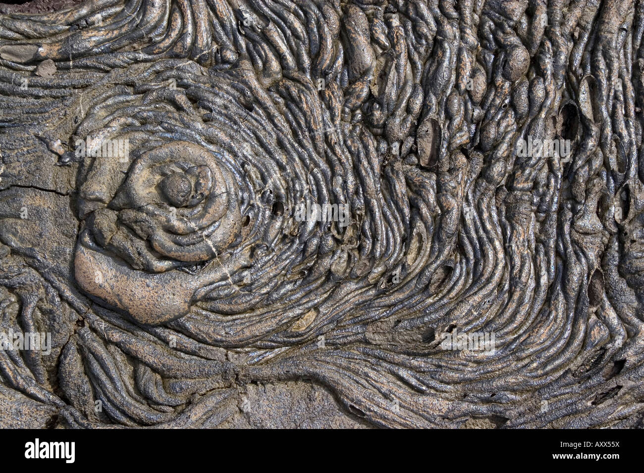 pahoehoe lava is the result of magma containing very little gas Stock ...