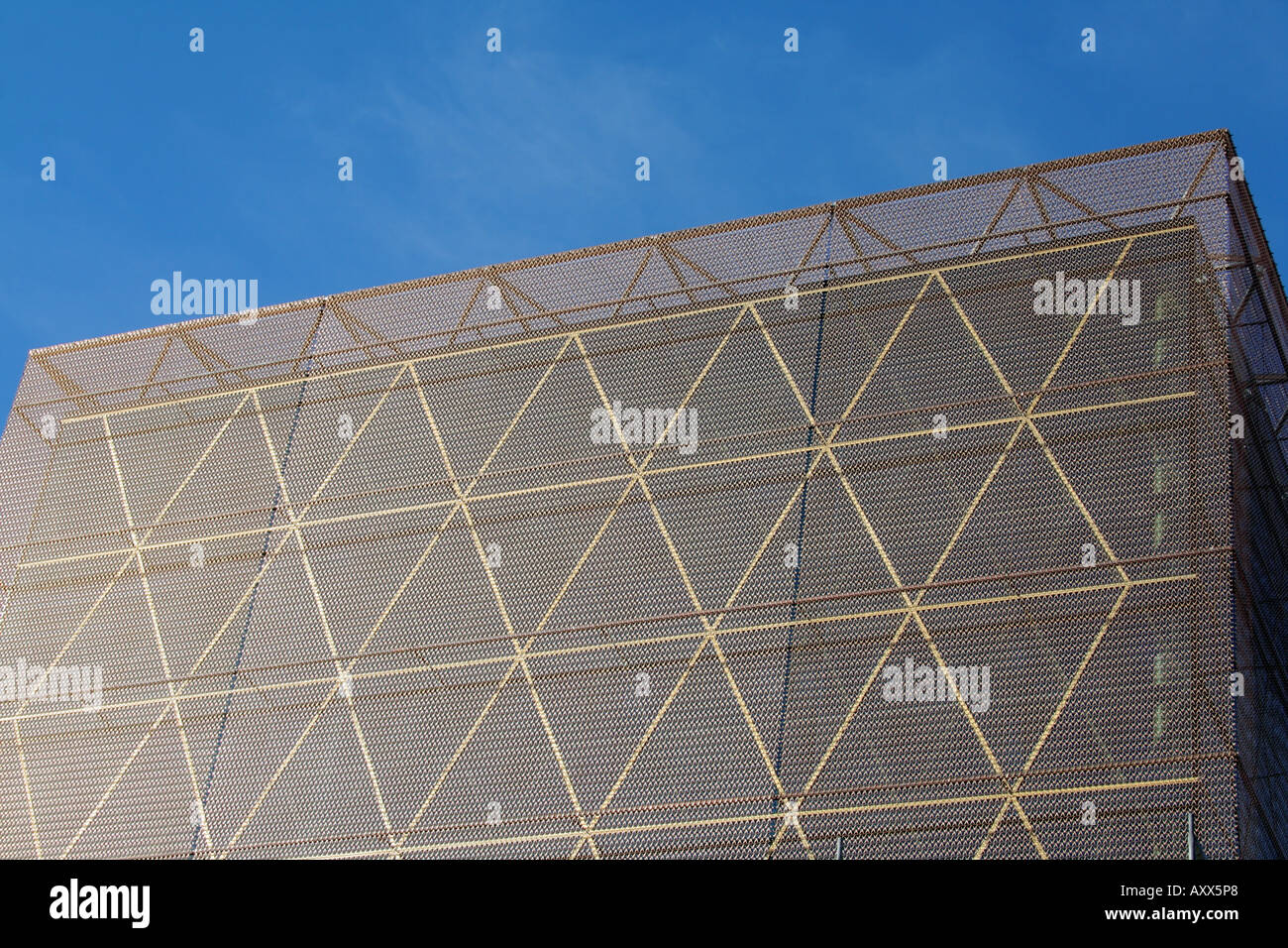 Building Mesh