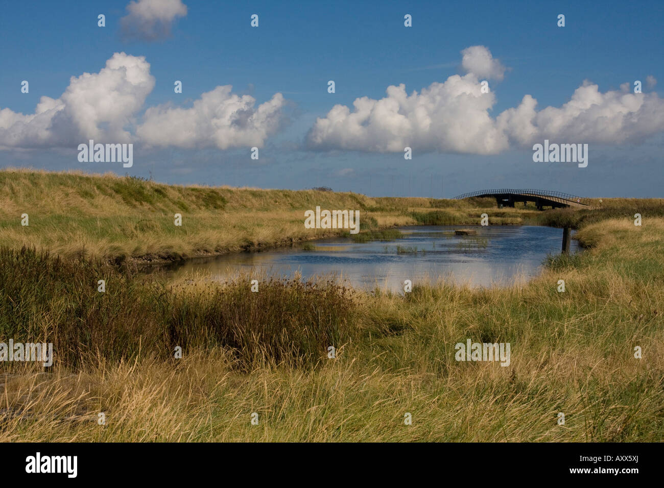 Sea wall bridge and salt marsh on Orford Ness Suffolk Stock Photo - Alamy