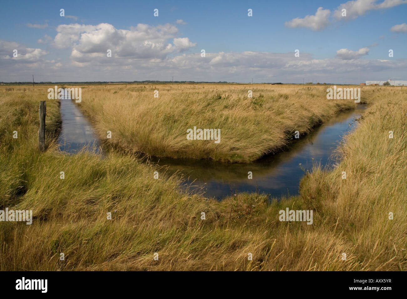 Kings marsh hi-res stock photography and images - Alamy