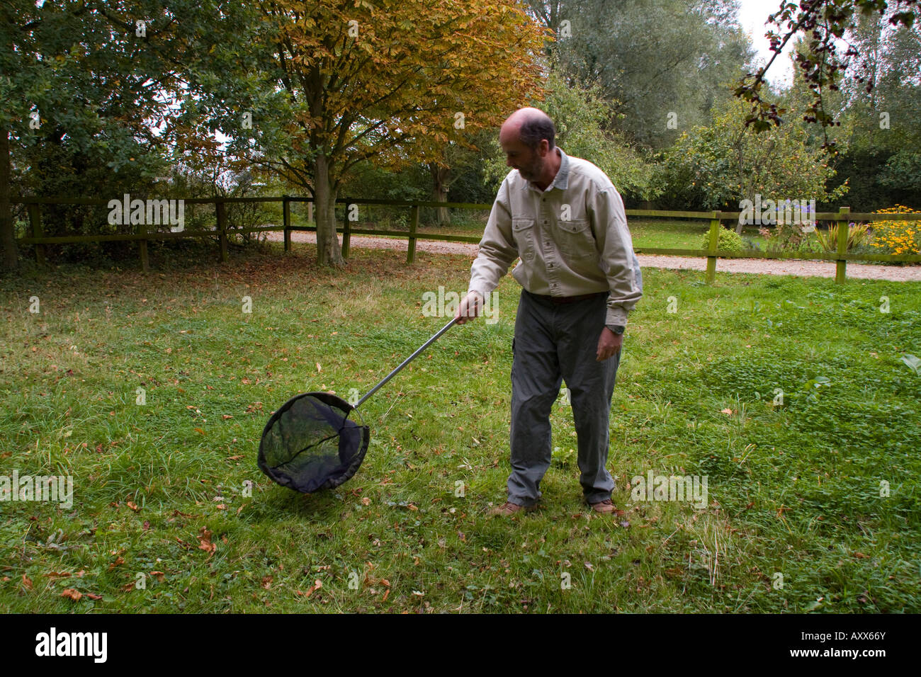 using a butterfly net Stock Photo - Alamy