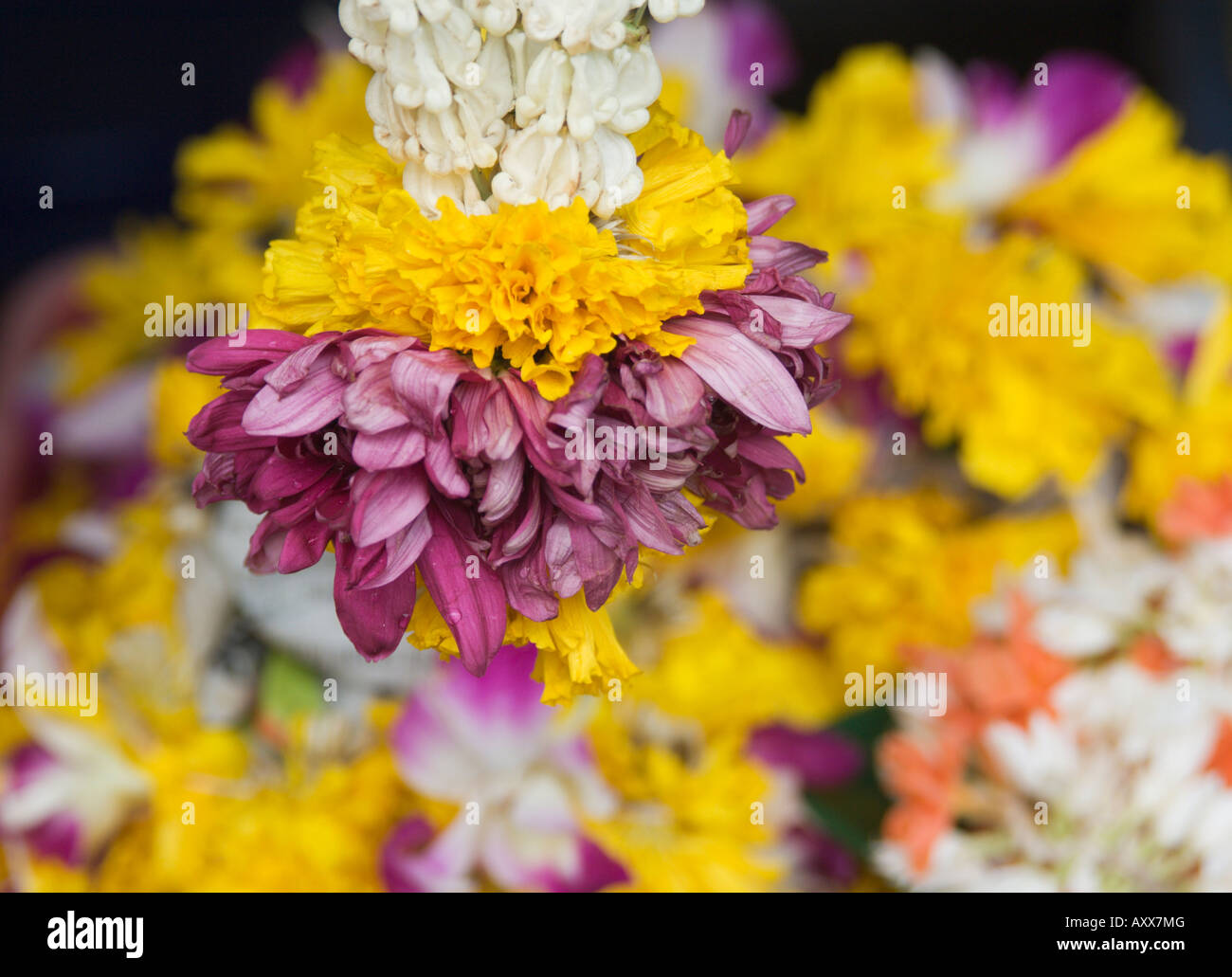 Flower garlands as temple offerings hi-res stock photography and images ...