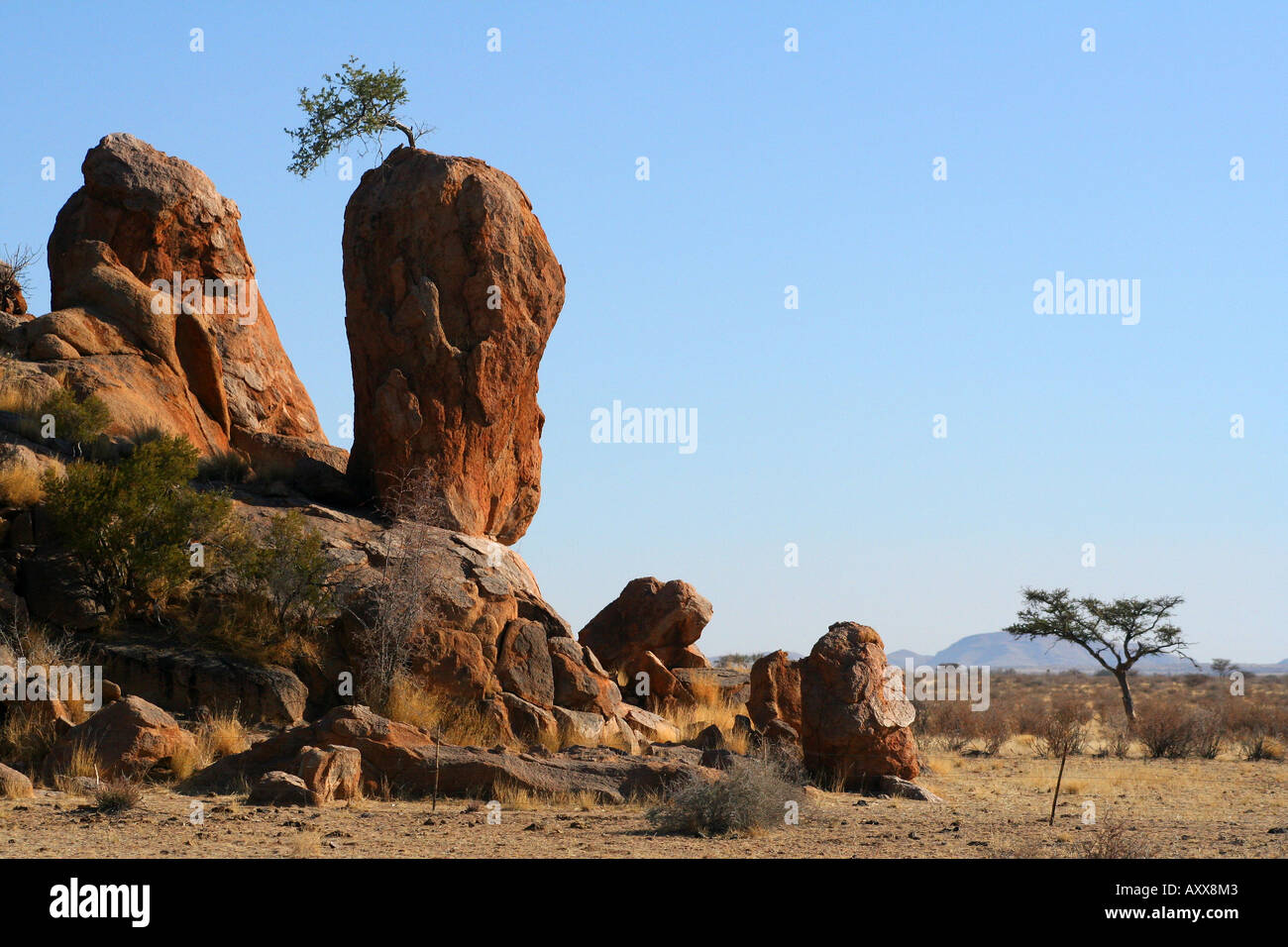 Tree on top of head shaped rock, Namibia Stock Photo - Alamy